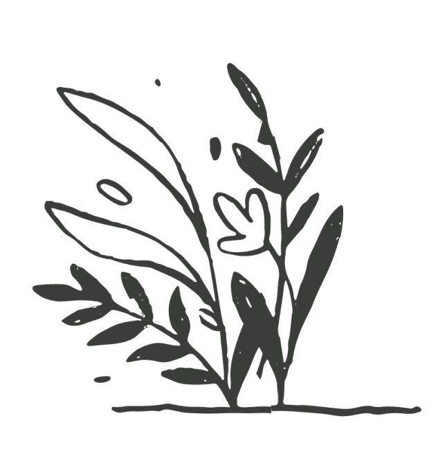 About Pathfinder | Pathfinder Asset Management