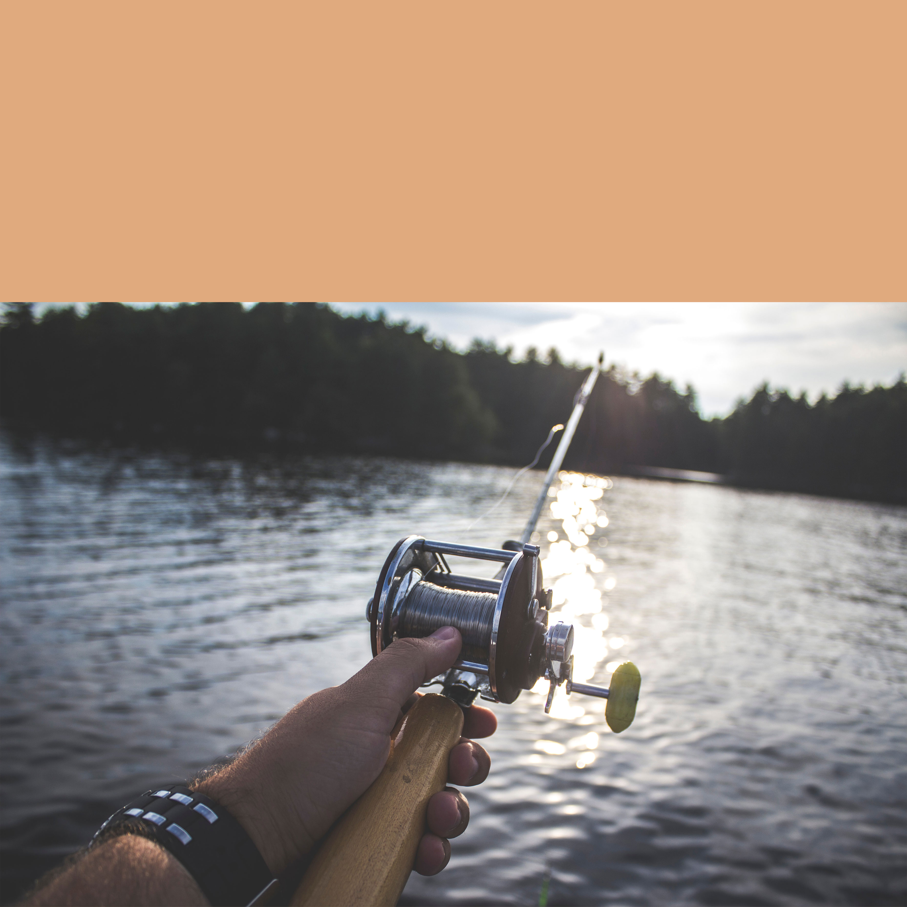 What to do if you suspect something phishy is going on.